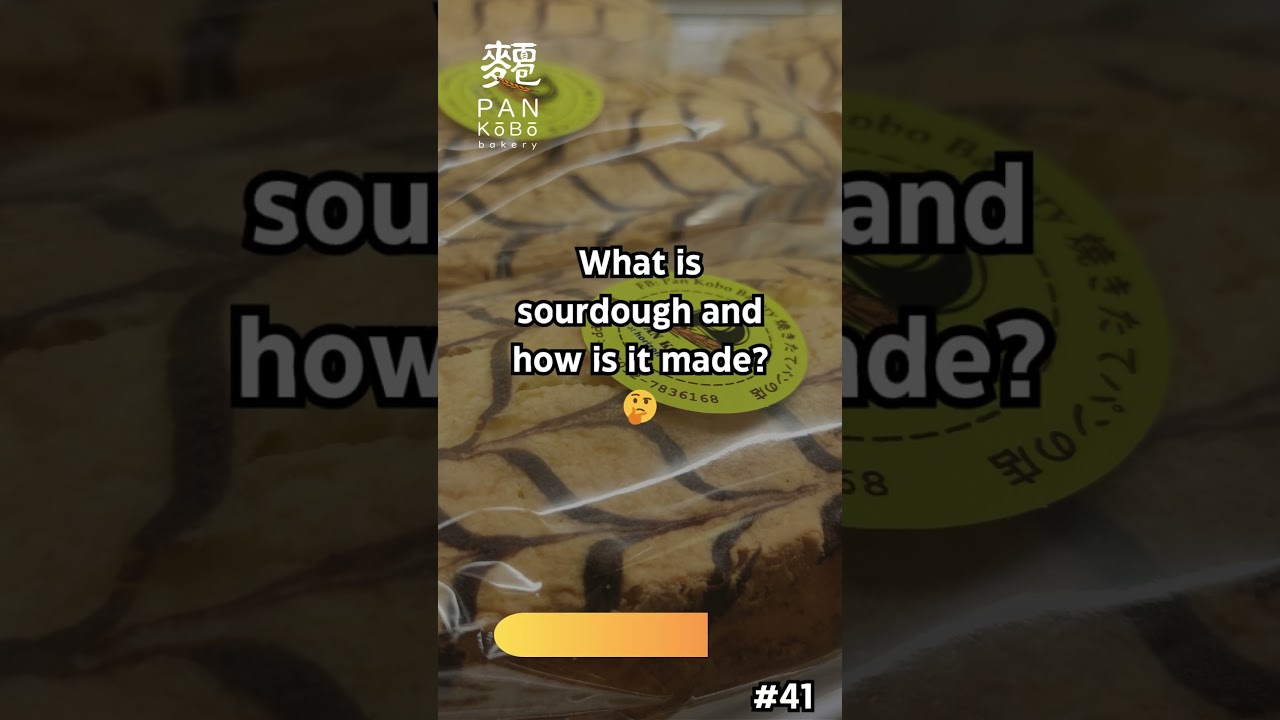 Sourdough 101: A Beginner's Guide to Making Your Own Sourdough Starter - PanKobo Japanese Bakery ...